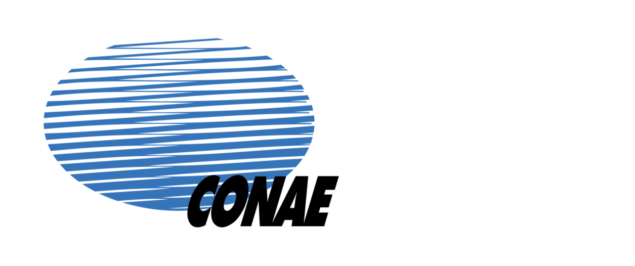 Convocatoria laboral y becas en CONAE - Facultad de Matemática ...